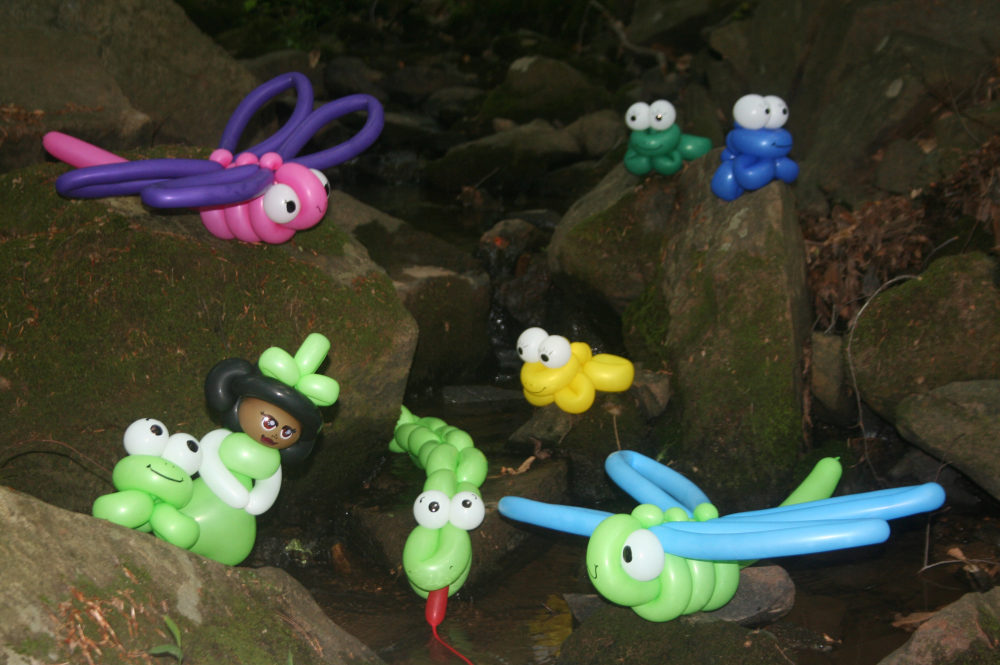 Balloon Twisting Gallery | Made Ya Look Balloons